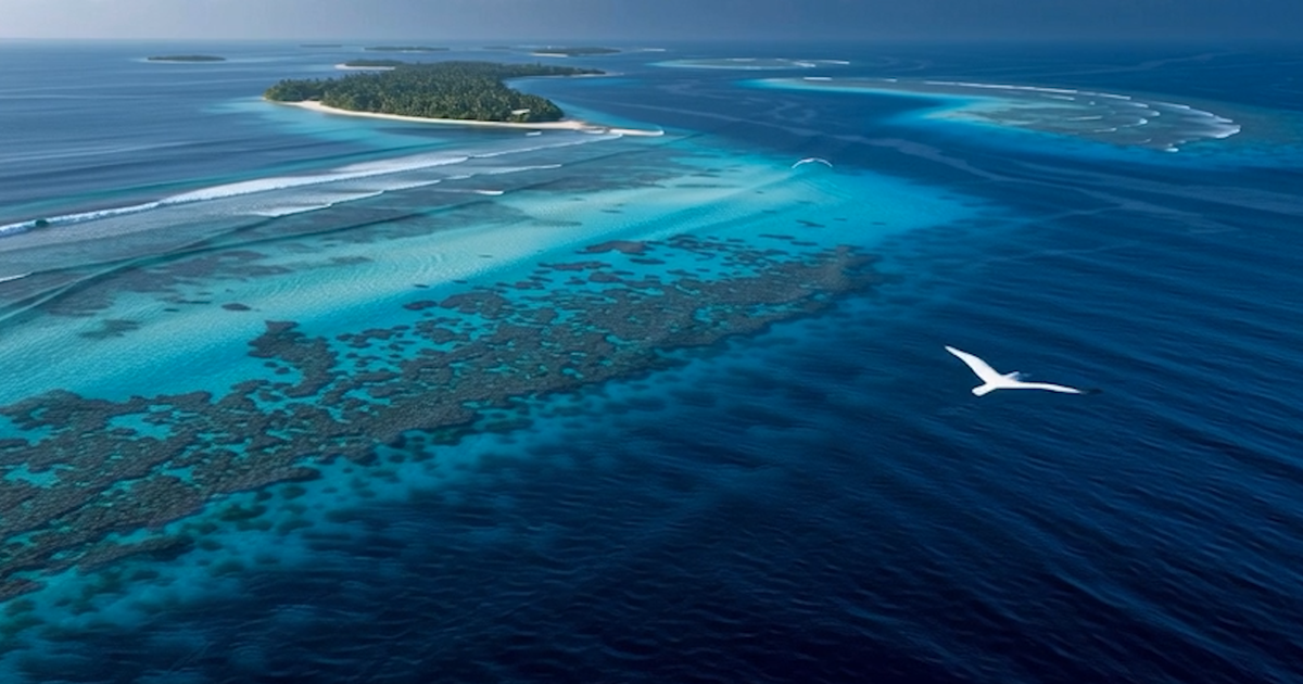 Solarelle Insurance - Commitment You Can Count On